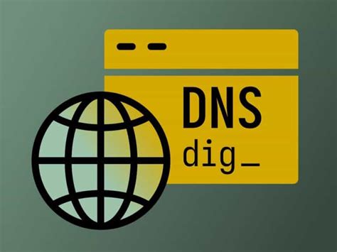 Dig Command The Most Common Use Cases In Examples