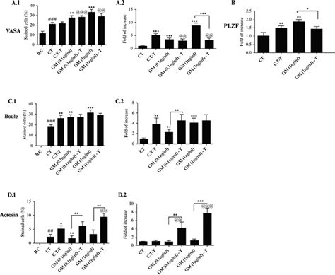 JLE European Cytokine Network Granulocyte Macrophage Colony Stimulating Factor GM CSF