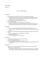 Chapter 1 Checkpoint Docx Anitra Rakestraw 900117704 Chapter 1
