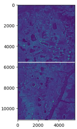 Python Rasterio Merge Creates White Stripes When Rasters Overlap And