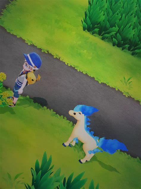 76 Best R Letsgopikachu Images On Pholder Still Lookint For That Shiny 😭