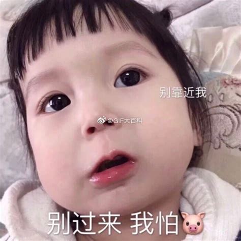 小可爱们的表情包日常，萌萌哒很可爱的