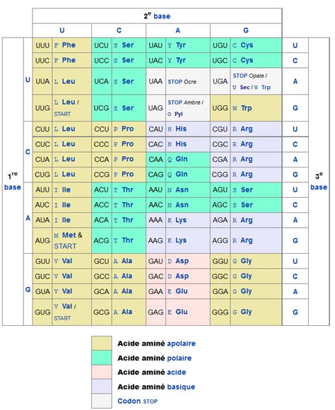Un Peu De Génétique Pour Informaticien