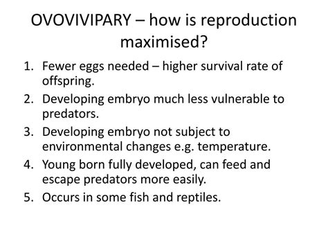 PPT OVIPARY OVOVIVIPARY VIVIPARY PowerPoint Presentation Free Download ID