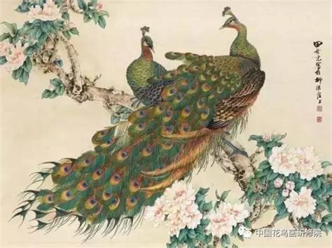 田世光绝美工笔花鸟画鲜艳中含优雅