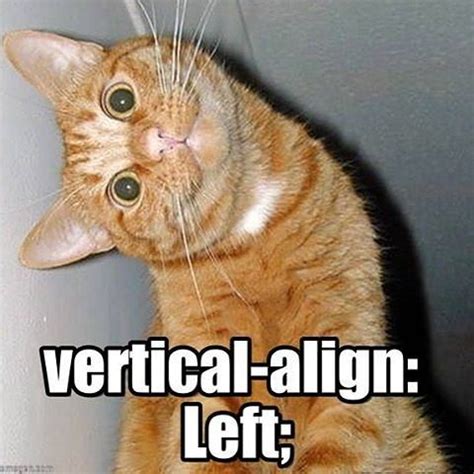 Vertical Align Left LINK IN BIO Learntocode Code Coding Java Javascript Php Sql Python