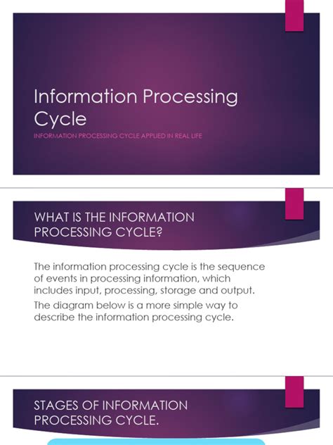 Information Processing Cycle Pdf