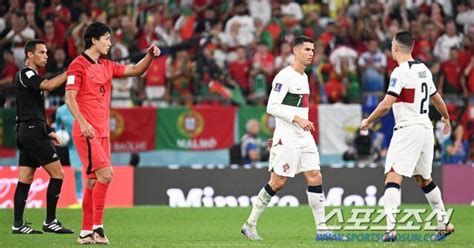 [카타르 현장]조규성 호날두가 포르투갈 욕 하길래 더 강하게 했다