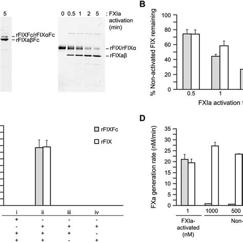 Pdf Recombinant Factor Ix Fc Fusion Protein Maintains Full Procoagulant Properties And