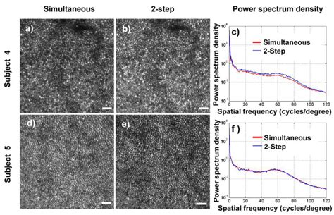 A Correction Algorithm To Simultaneously Control Dual Deformable Mirrors In A Woofer Tweeter
