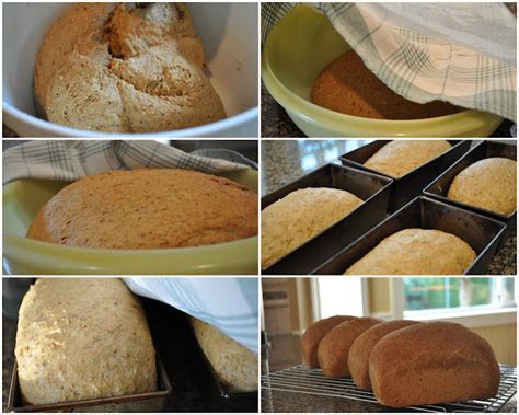 Mennonite Girls Can Cook Whole Wheat Bread