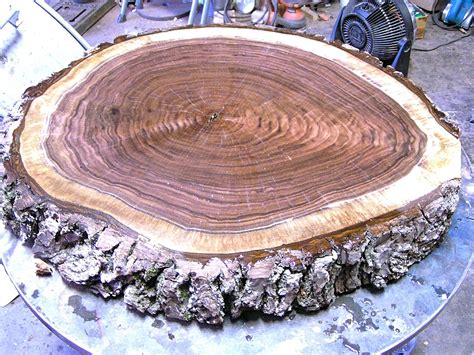 How To Make Live Edge Wood Slab At Hamish Mitford Blog