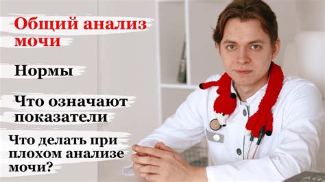 Общий анализ мочи у ребенка Что означают показатели анализа мочи И что делать при их повышении