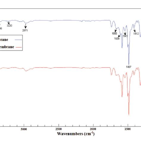 Atr Ftir Spectra Of The A Unmodified And B Modified Tfc Membrane