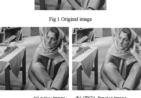 figure 1 from image denoising with contourlet transform based on pca semantic scholar