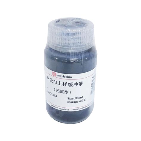 Western Blot 5 Sds Page Sample Loading Buffer China Sample Loading