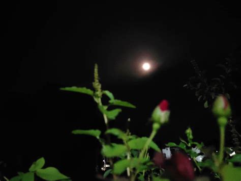 chirang patel navsari