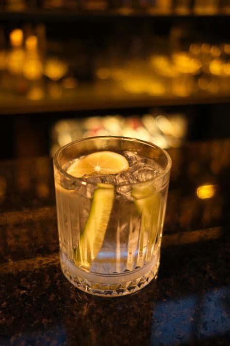 감귤 슬라이스 감귤류 고명 냉각 라임 라임 웨지 럭셔리 레몬 레스토랑 막대기 맛 매우 복잡한 미식가 반짝이는 밤문화 밤을 보드카 사회화