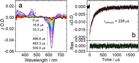 A Nanosecond Time Resolved Transient Absorption Spectra Recorded For