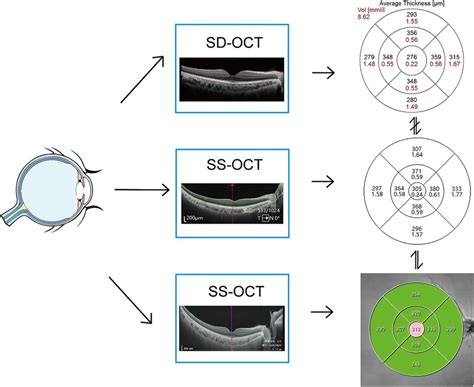 Schematic Diagram Of The Experimental Workflow Download Scientific Diagram
