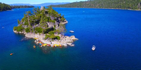 Douglas Thron Blink Network