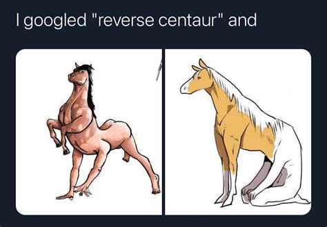 Weird Centaur Centaurs Problematic Rfunny