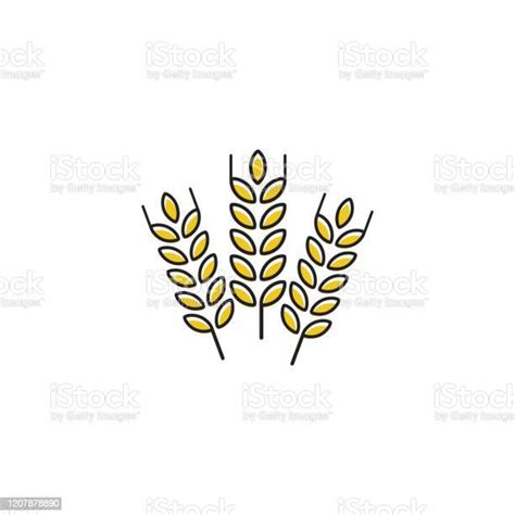 Agriculture Wheat Vector Stock Illustration Download Image Now