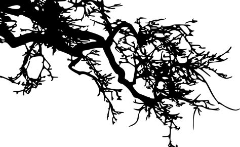 Tree Branch Silhouette Png