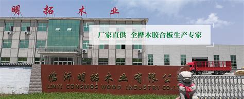 临沂全桦木胶合板 进口俄罗斯全桦木胶合板生产厂家全桦木多层板