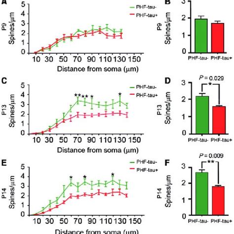 Dendritic Spine Density Comparative Morphometric Analysis Of Dendrites Download Scientific