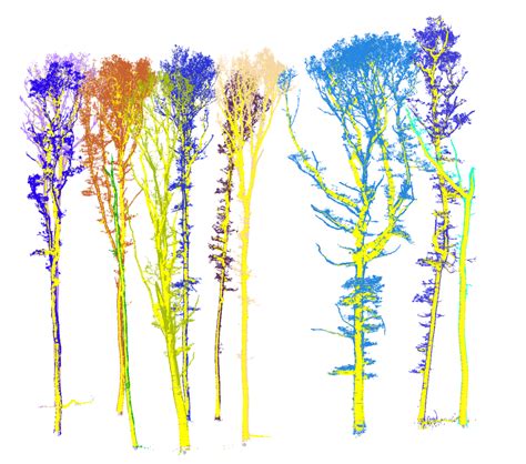 3d Forest Terrestrial Lidar Data Processing Tool