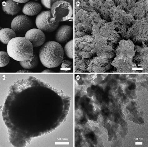 Sem And Tem Images A Sem Image Of The Obtained Caco3 Microspheres Download Scientific