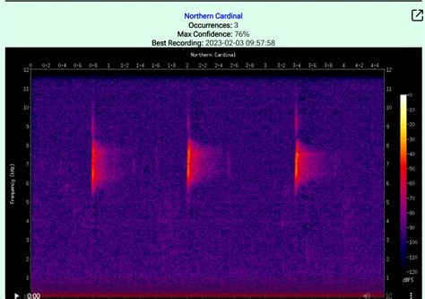 An Automated Bird Recognition System Using The Raspberry Pi Physics Birding And Blindness