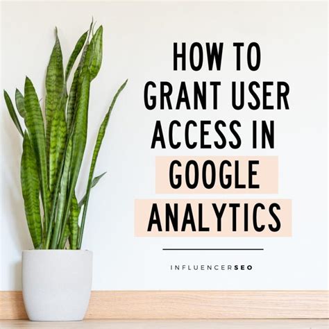 How To Grant User Access In Google Analytics Influencer SEO