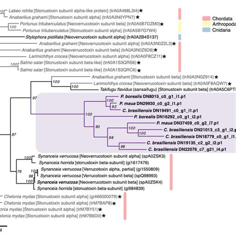 Phylogenetic Gene Tree Of Jellyfish Toxin Or Catxcrtx Sequences The