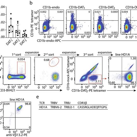 Quantification Of Cd1b Dat2 Tetramer Binding T Cells In A Peruvian Tb Download Scientific