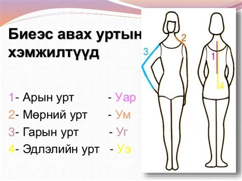 Lesson 3 биеэс хэмжээ авах