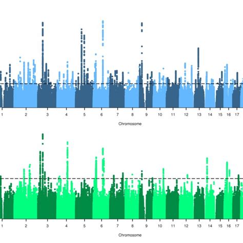 A Manhattan Plot For The Genome Wide Association Analysis Of
