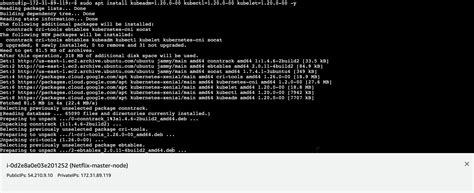 Setup Kubernetes Cluster With Kubeadm On Aws Ec2 Instances