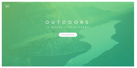 Github Nsarg1natours New Project To Master Css3 Sass Flexbox And Grid