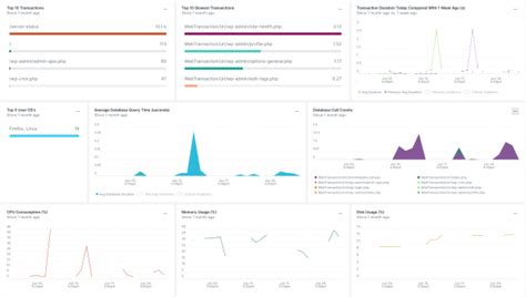 wordpress full stack new relic