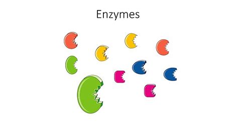 Factors Affecting Enzyme Activity A Level Biology Revision Notes