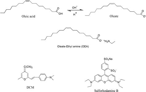 Scheme 1 Chemical Structures Of Oleic Acid Oleate Ethyl Amine Oea