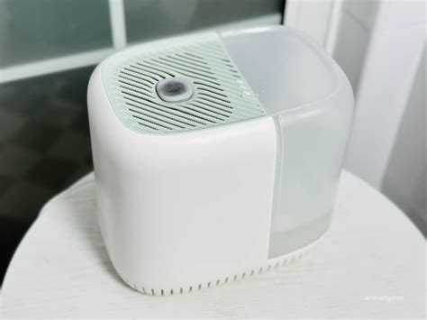 Canopy Humidifier Review Is It Worth Buying Air Smartly