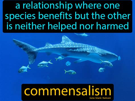 Commensalism Easy Science Commensalism Flashcards New Vocabulary Words