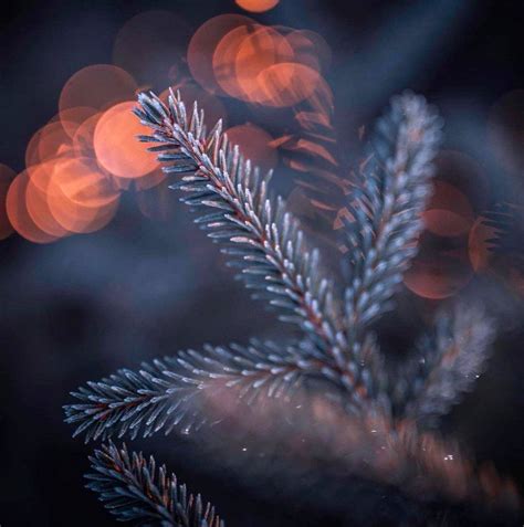 Краски природы