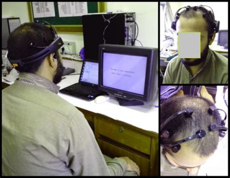 Help You For Eeg Signal Processing With Matlab Or Python By