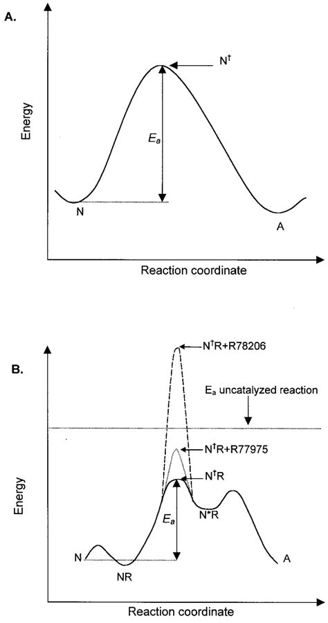 Model Of The Reaction Pathway For The N To A Transition A Reaction Download Scientific