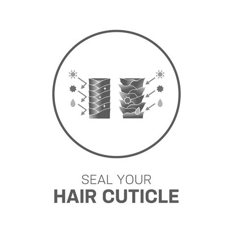 Hair Care Routine For Different Types Of Hair Eazicolor Professional
