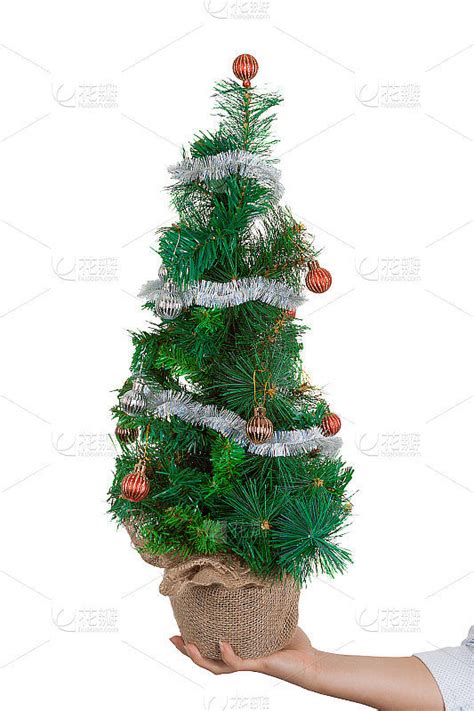 新年的概念。装饰圣诞树在女人的手